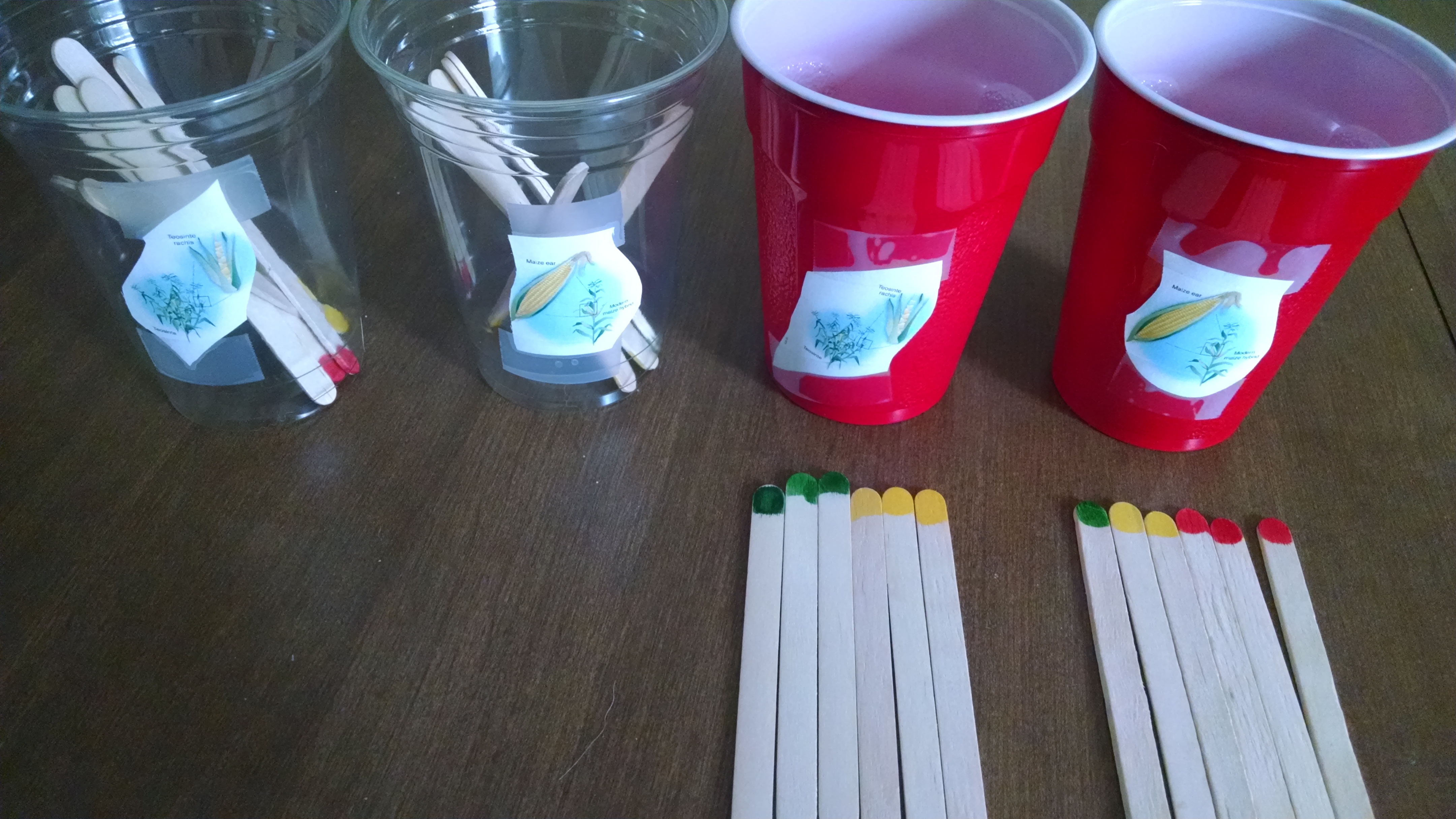 Hands on Activity: Genetic Engineering versus plant breeding – Escaping ...
